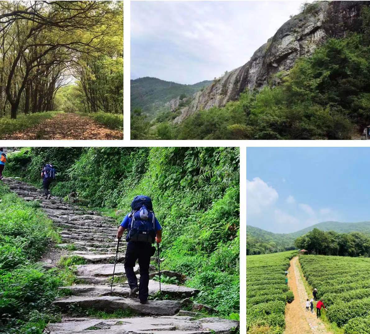 Xinda Environment Protection Activity – XINDA